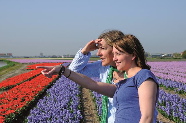 2025 Dutch Bulbfields & Keukenhof