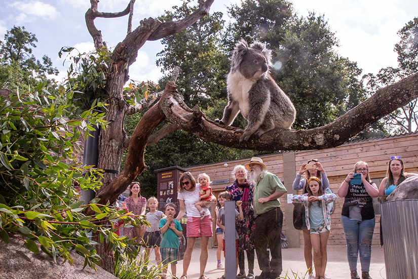 2025 - Weston-super-Mare, Longleat & Somerset Cider